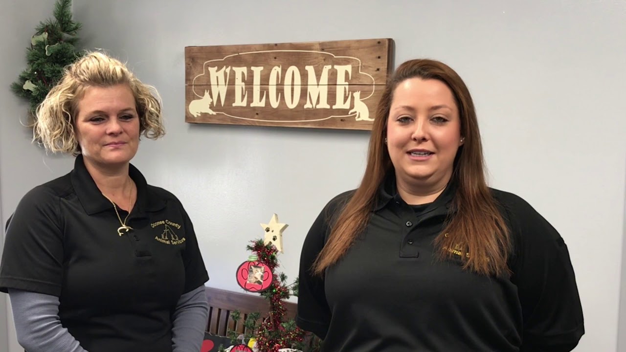 Oconee County Animal Services Officer Kate Jarrard Finds Max - YouTube