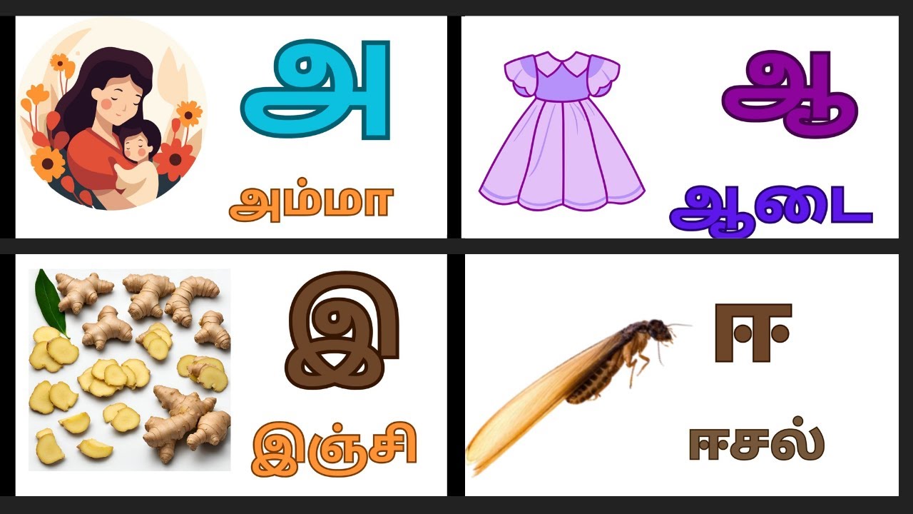 உயிர் எழுத்துக்கள்| அ ஆ இ ஈ |Uyir eluthukkal with words|A AA E EE in ...