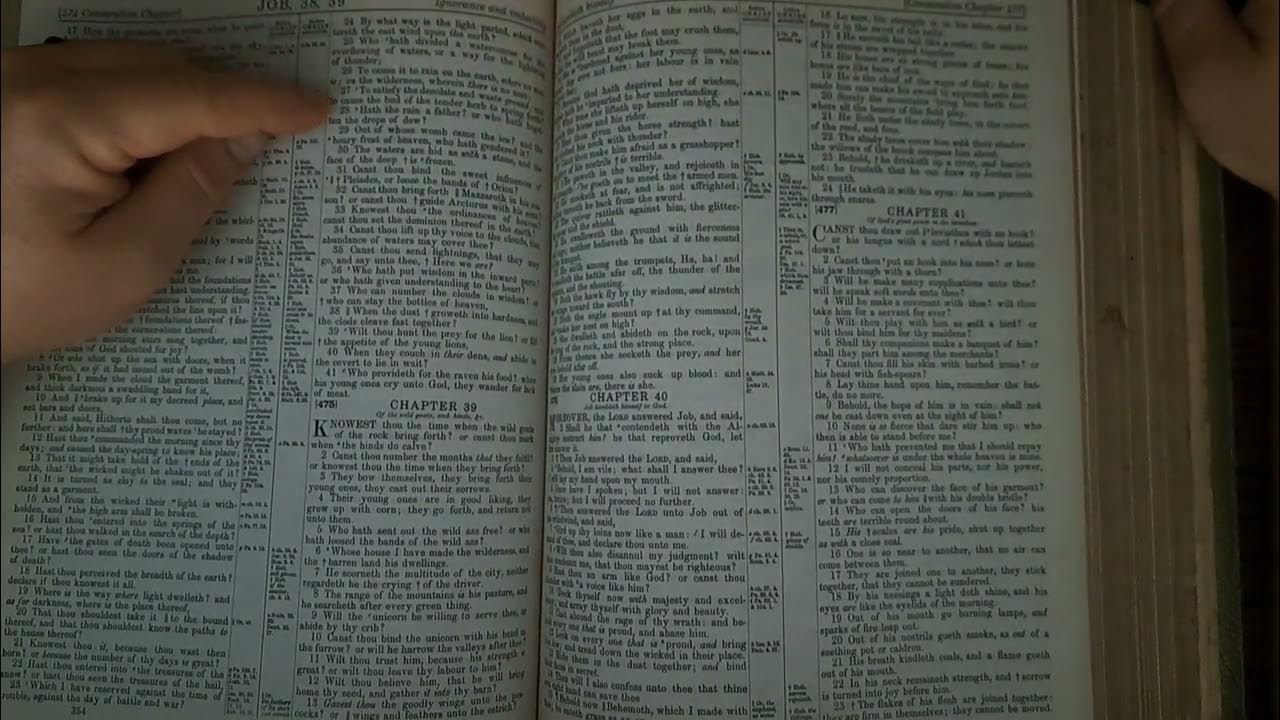 Job 38 - YouTube