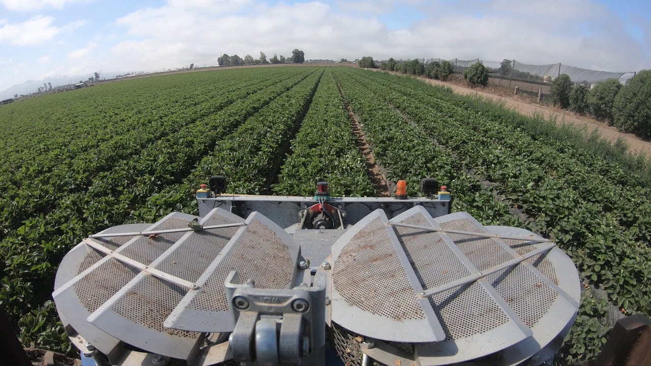 Time Lapse Agrobot BugVac - YouTube