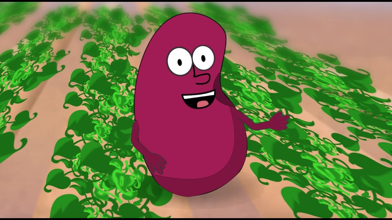 Groundwork Harvest of the Month: Dean the Bean - YouTube