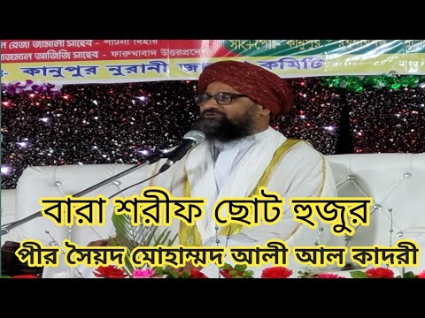 বারা শরীফ ছোট হুজুর ️Bara Sorif Choto Huzur ️Sayed Mohammad Ali Qadri ...
