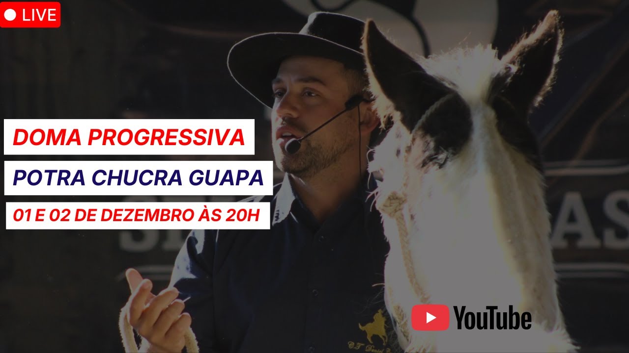 Iniciação da Guapa + Black Friday - YouTube