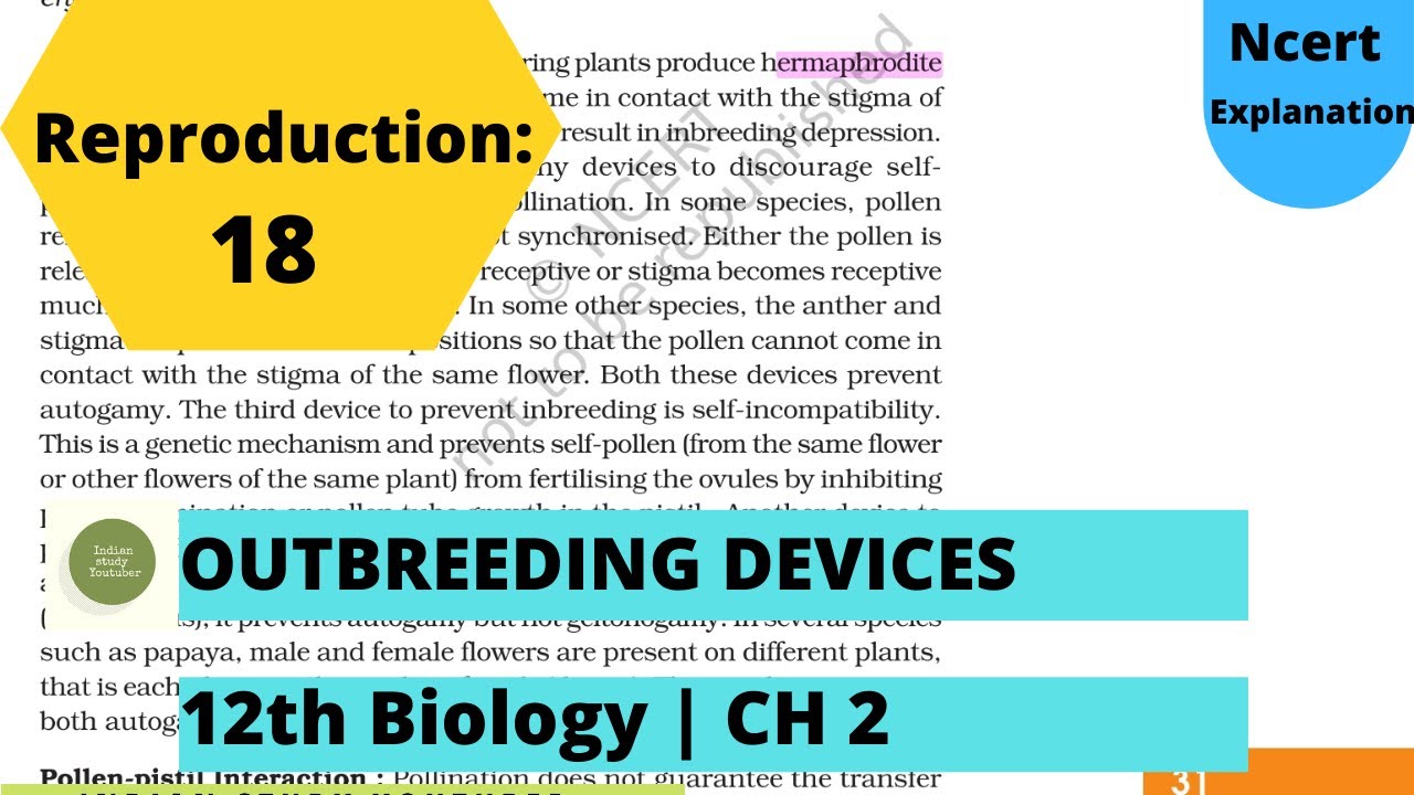 Reproduction 18: Sexual Reproduction in Flowering Plants | Outbreeding ...
