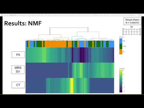 Eric Plitman — HBHL Research Day 2020 Flash Talk - YouTube