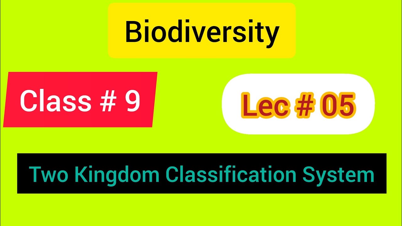 Aristotle Classification System| Two Kingdom Classification System ...