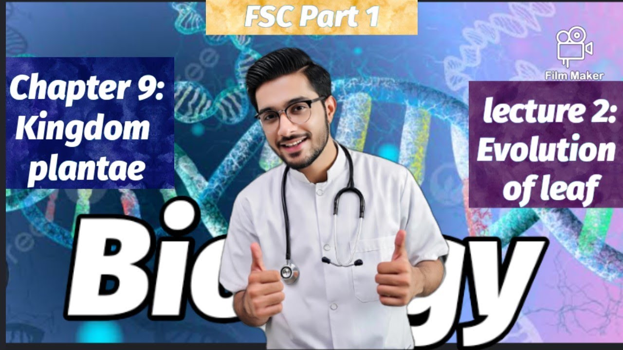 Evolution of leaf|Biology class 11 chapter 9| PTB|Romeo ki biology ...