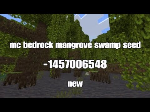 Minecraft bedrock mangrove swamp seed :) - YouTube