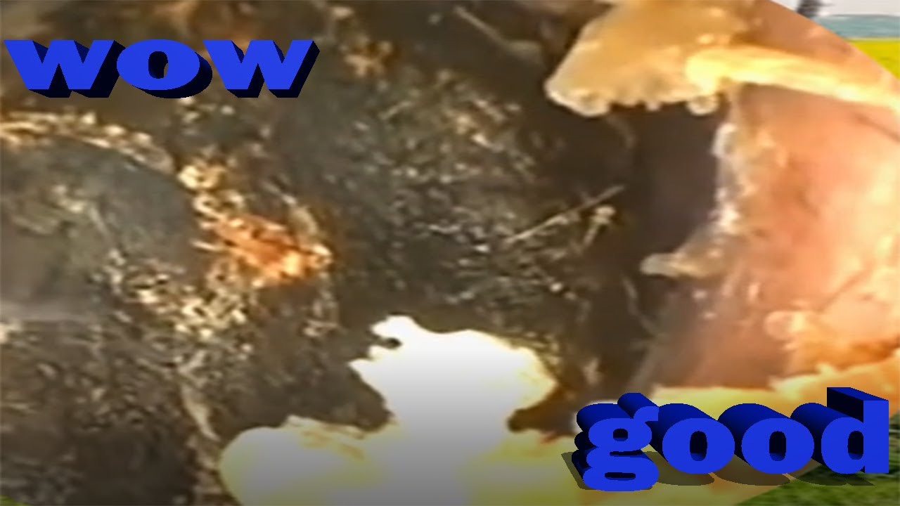 Most Irritating Ear Wax Deep Impacted Hard Stuck Ear Wax Removal.(Keep ...