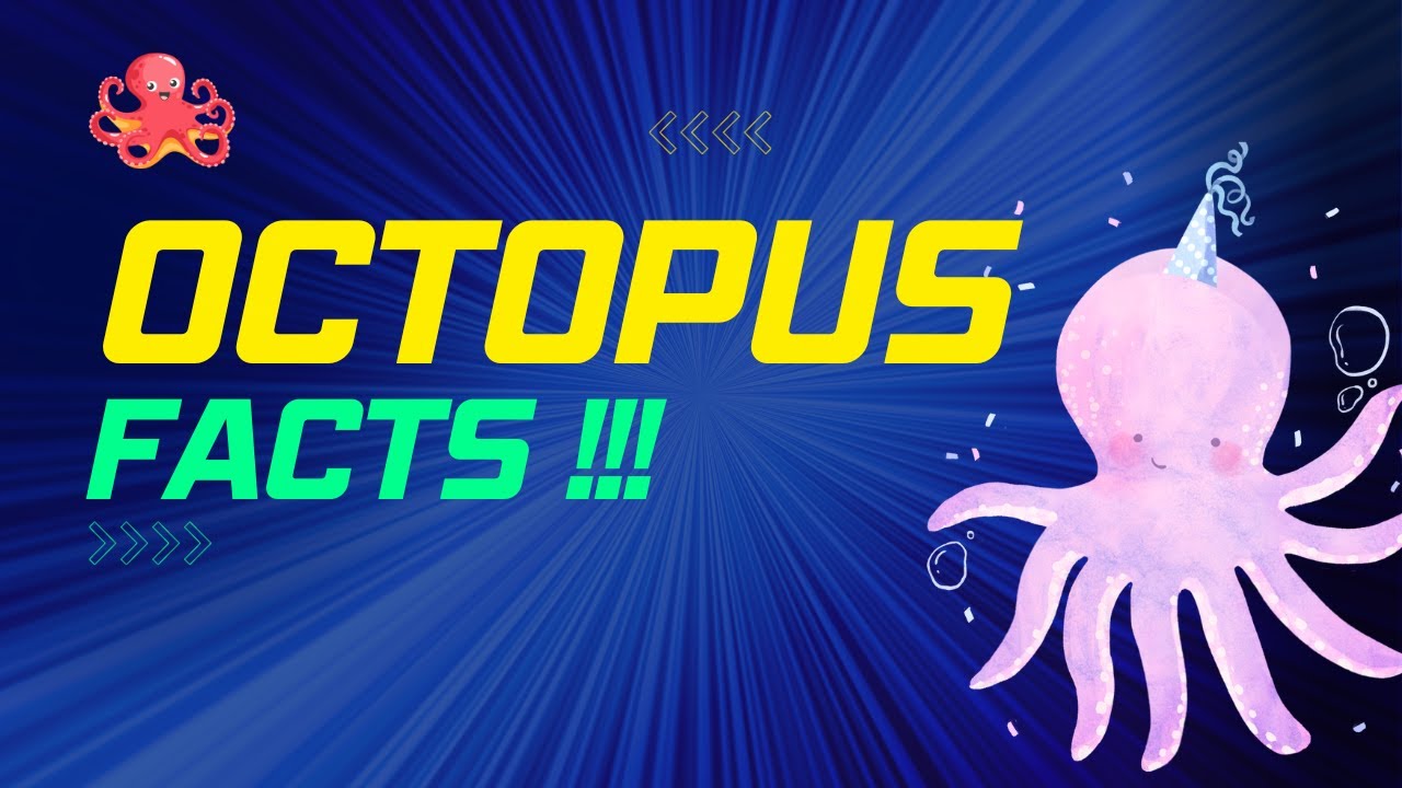 Octo-Facts: Unveiling the Mysteries of the Octopus - YouTube