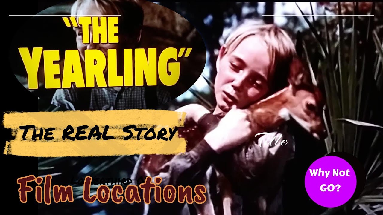We Visit the REAL LIFE Location and Story of "The Yearling" in Ocala ...