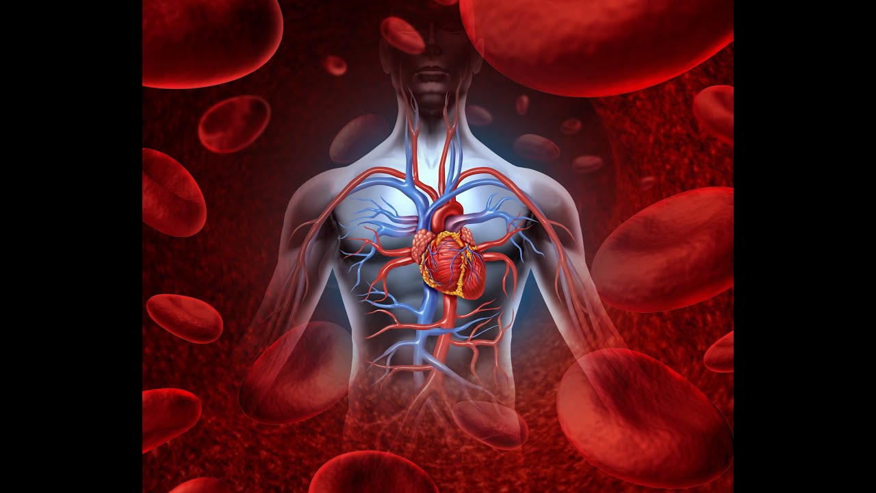 NATURAL METHODS TO ENHANCE YOUR CIRCULATION. - YouTube