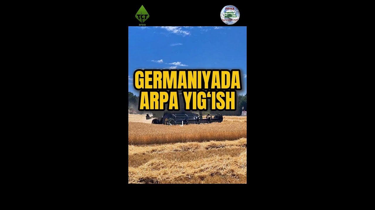 GERMANIYADA ARPA YIG‘ISH #tractor #traktor #kombayn #combine #harvest # ...