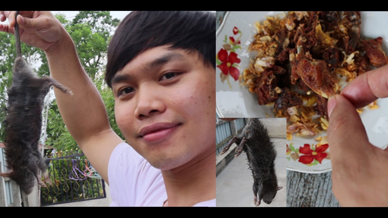 Rat from paddy-field | Fried Rat | လယ်ကြွက်ကြော် | Eating unusual food ...