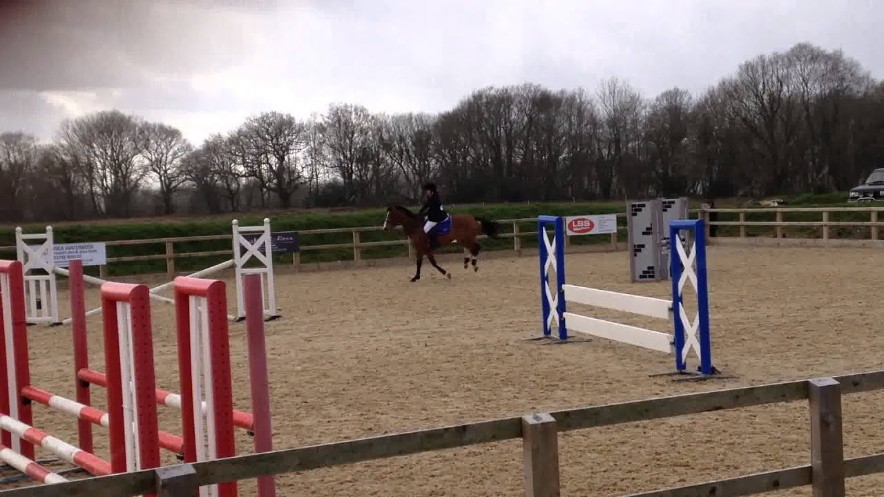 Highmead Proposition- first round Show jumping- Beacons Equestrian ...