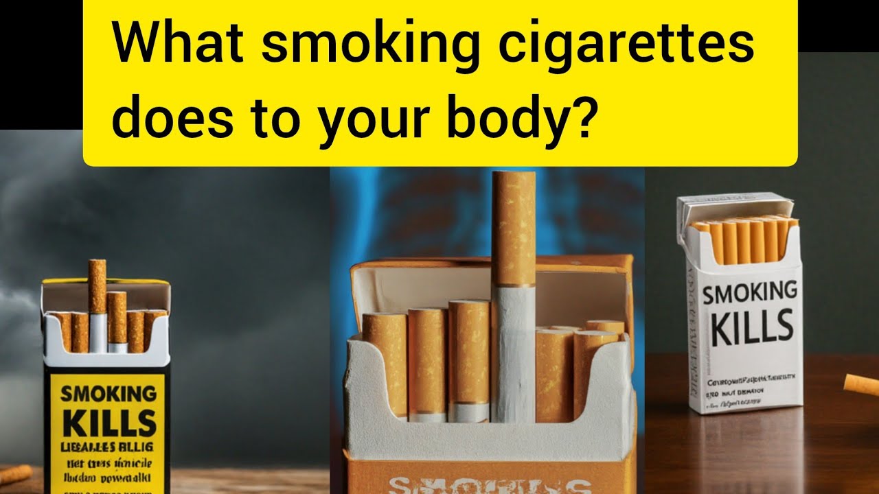 What smoking cigarettes does to your body?||What cigarettes do to your ...