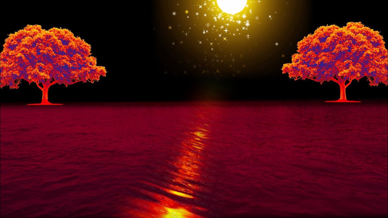 Night template video||template video full HD||light effect video ...