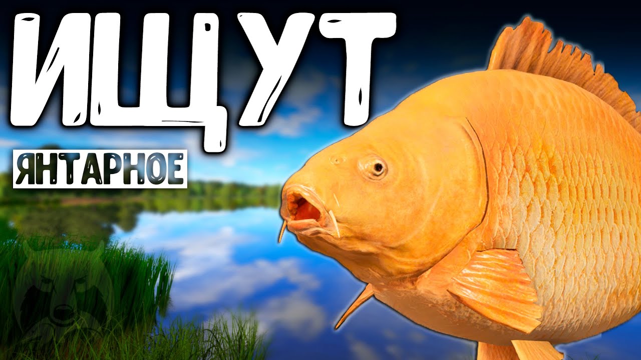 RF4 ПРЯЧУТСЯ ТАК ЧТО НИКТО НЕ МОЖЕТ НАЙТИ ИХ НО Я НАШЁЛ #рр4 - YouTube