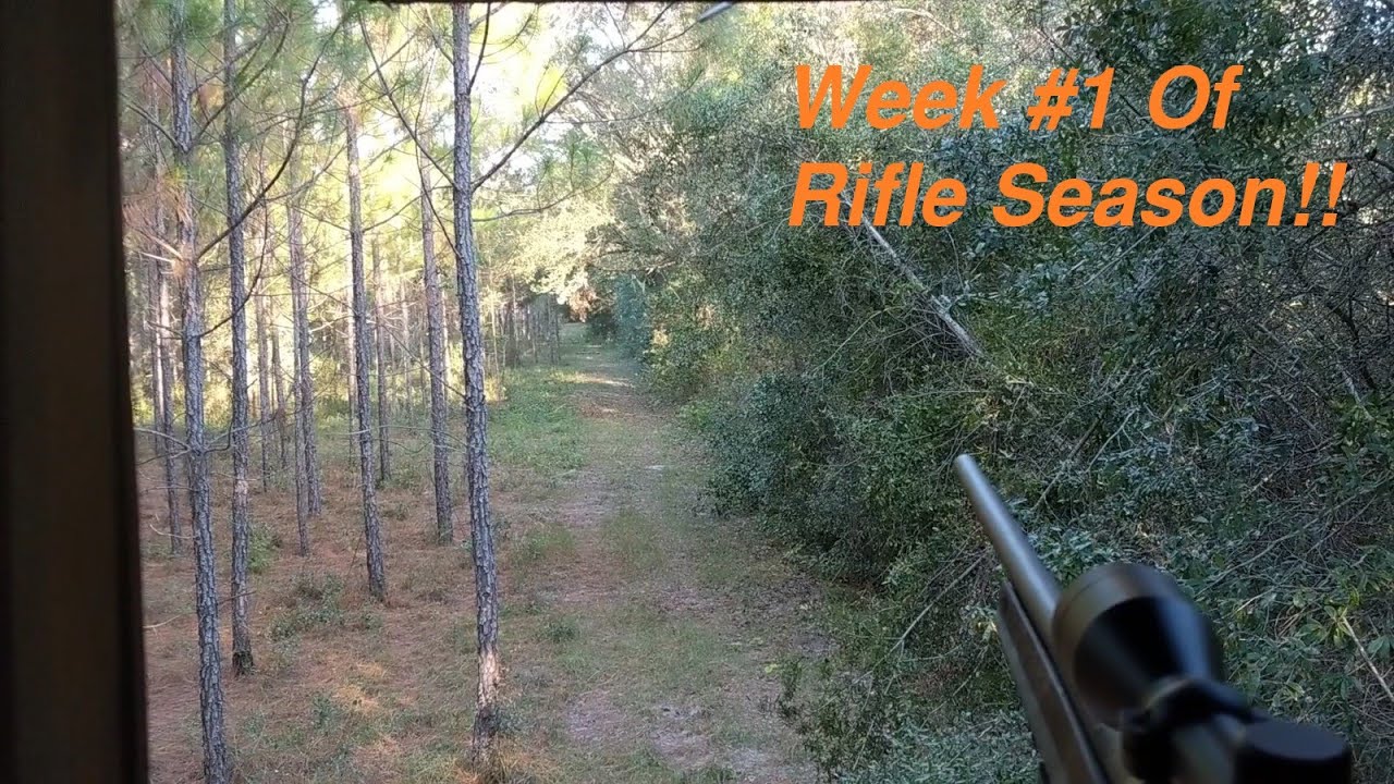 Opening Week Of Rifle Season!! Deer Hunting: Week Of 11/7 - YouTube