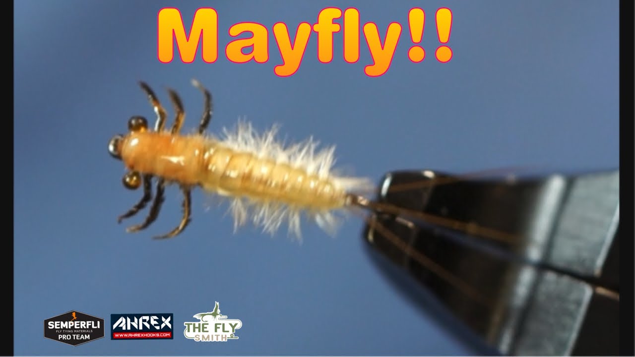 Realistic Gilled Mayfly Nymph! - YouTube