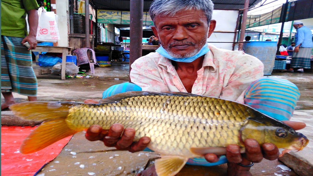 Giant Karfu Fish Cutting skills in live Fish Market /Carp Fish Cutting ...