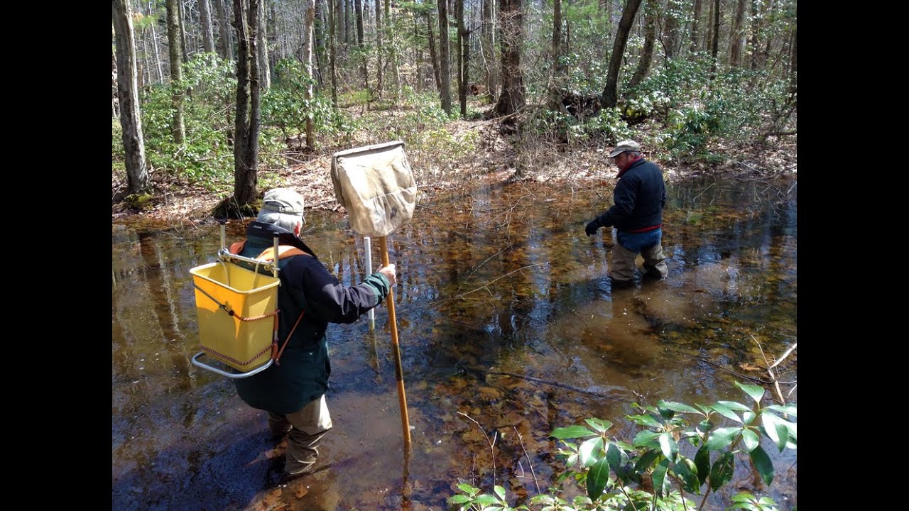 EcoBeneficial Interview: Vernal Pools with John Anderson of Aton Forest ...