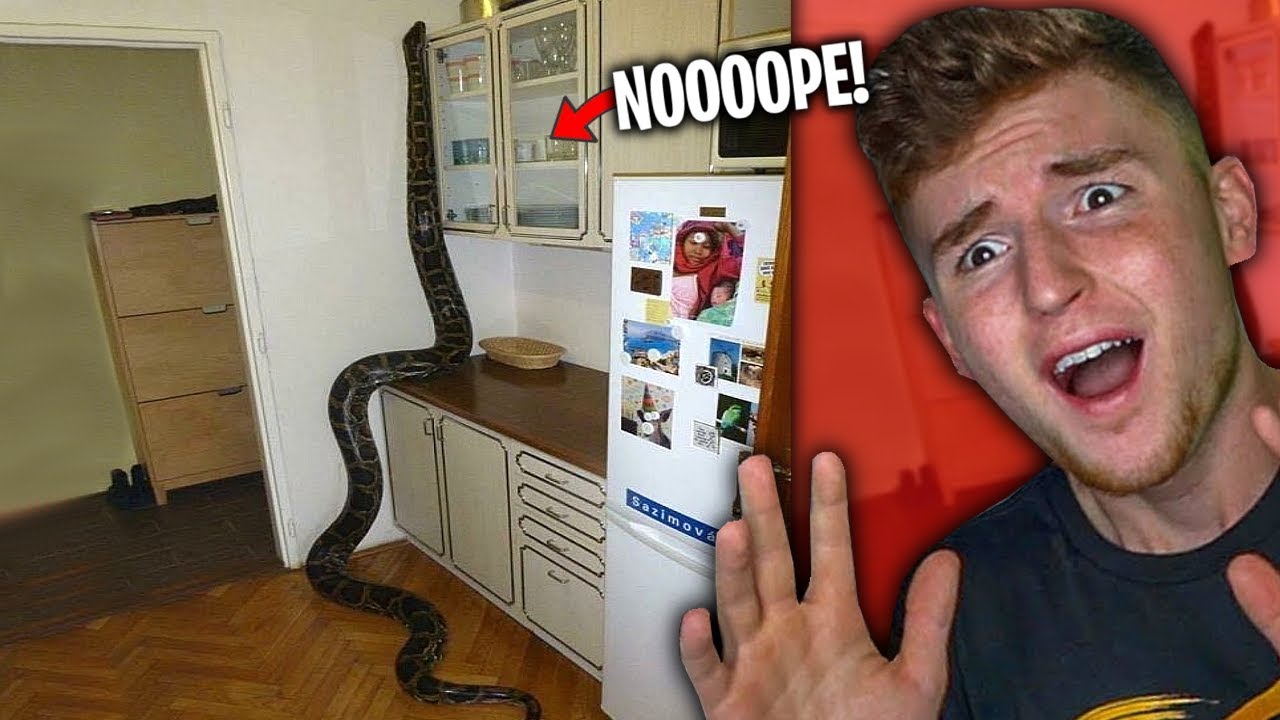 Photos That Will Make You Scream NOOOPE! - YouTube