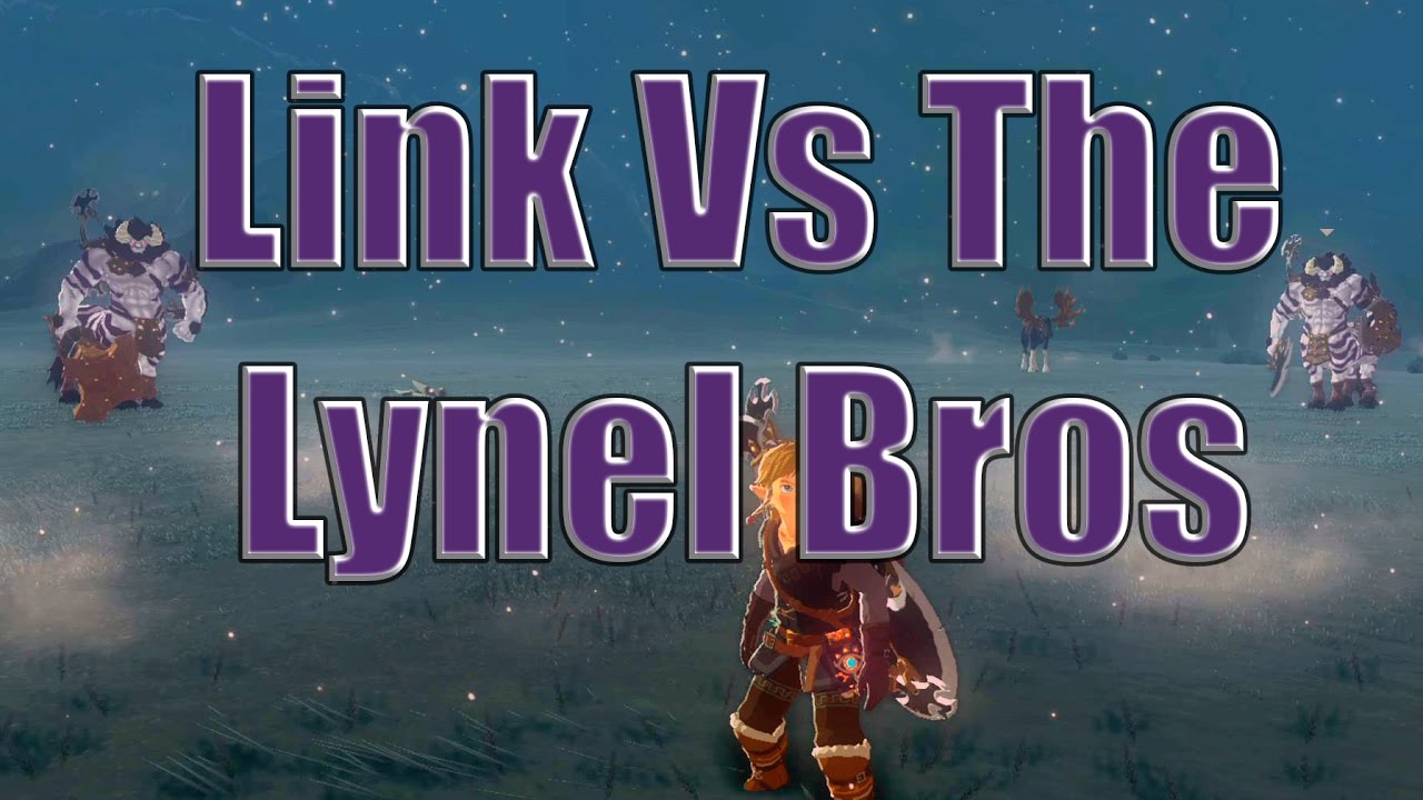 Link Versus the Lynel Brothers (TWO LYNELS AT THE SAME TIME NO DAMAGE ...