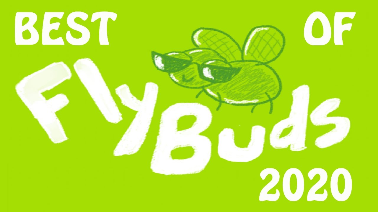 BEST OF FLY BUDS 2020 - YouTube