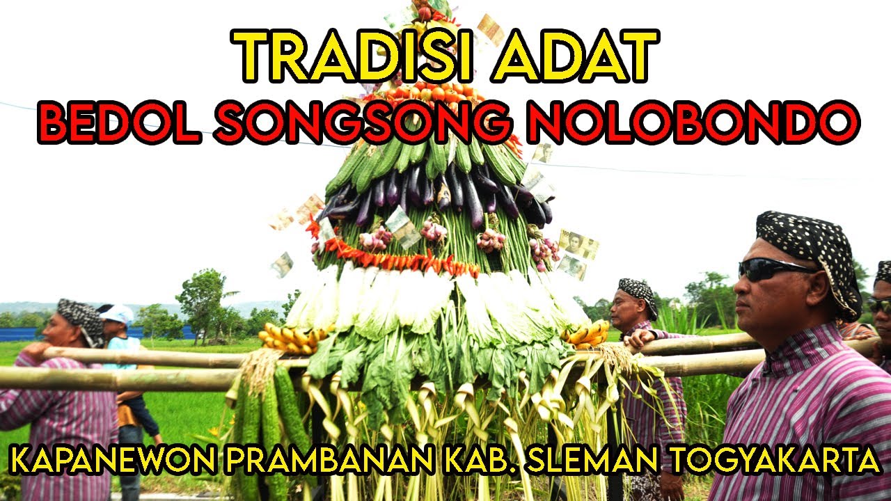 BEDOL SONGSONG NOLOBONDO || TRADISI ADAT DESA || KEARIPAN LOKAL ...