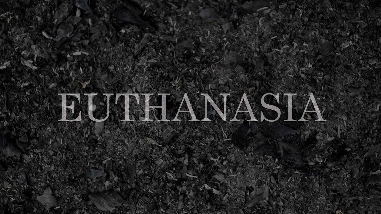 Euthanasia - YouTube