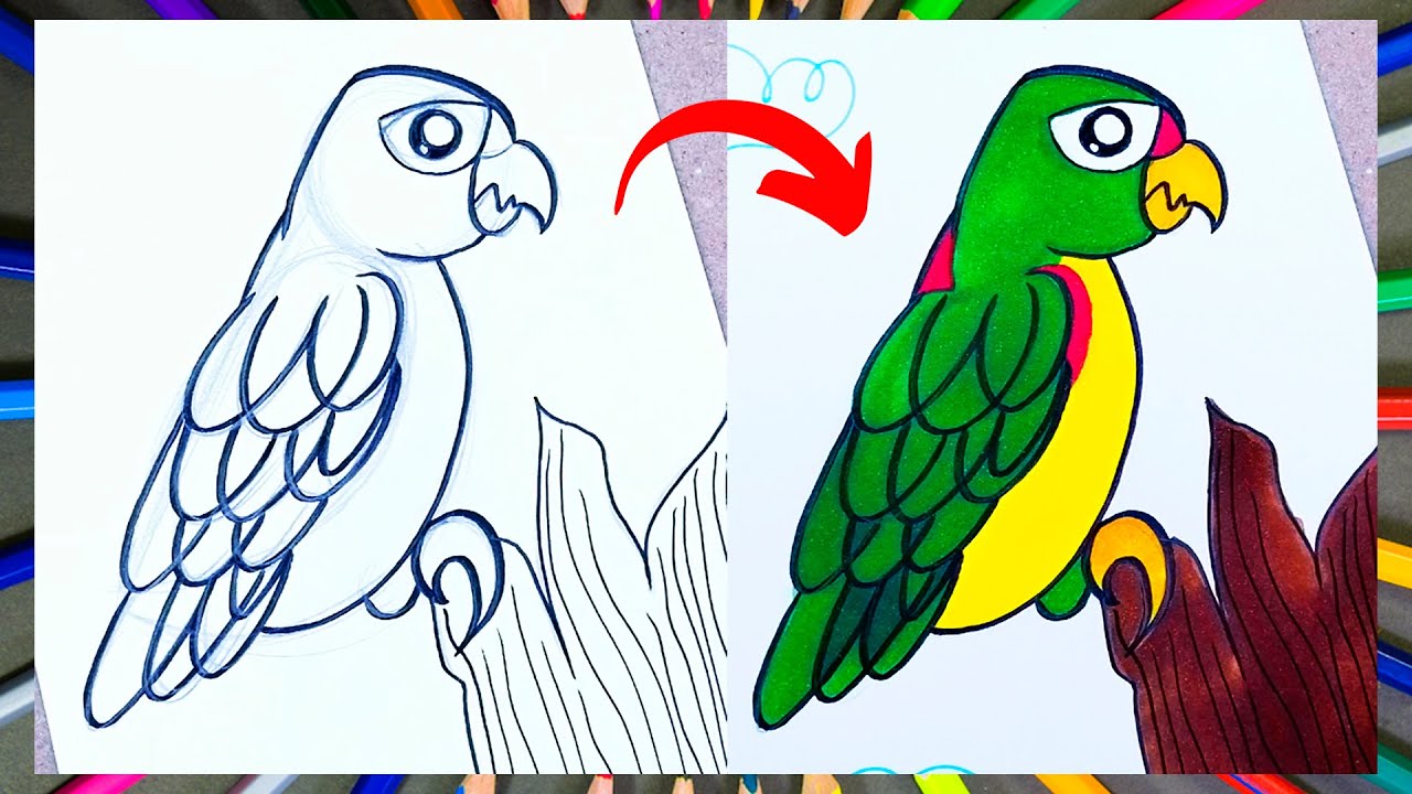 Cómo dibujar un PERICO paso a paso y muy fácil 🐦🌺⛰ Dibujos fáciles ...