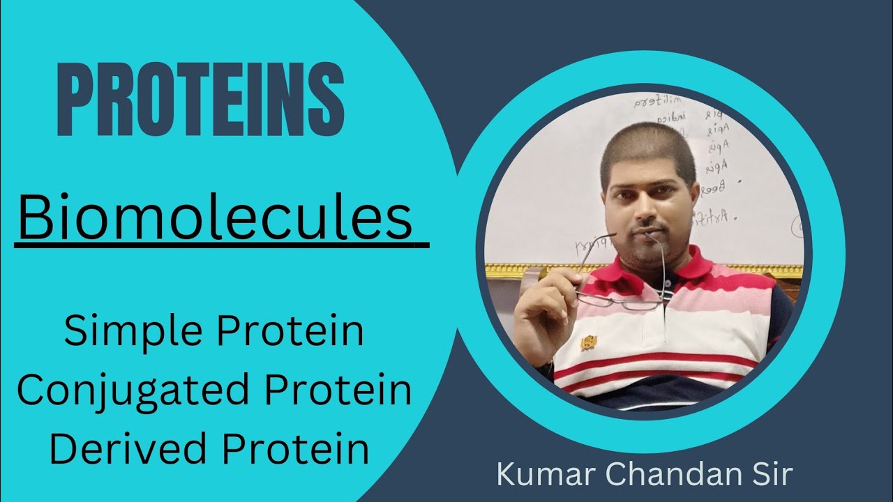 Biomolecules ।। Protein - YouTube