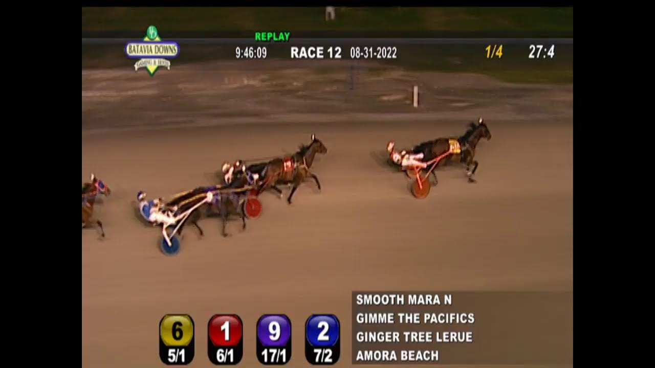 Batavia Downs Gaming & Hotel Live Stream - YouTube