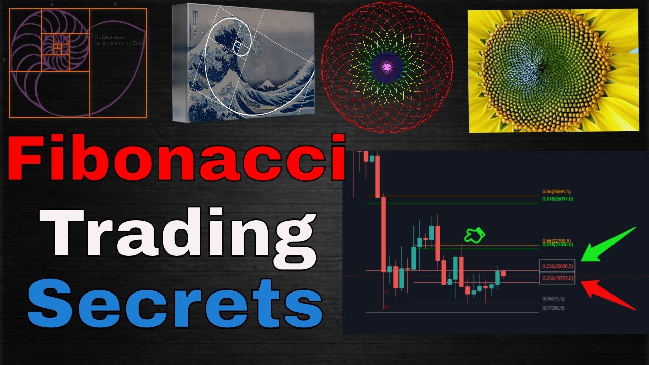How to find BTC trades with Fibonacci - is the Bear Market Over? - YouTube