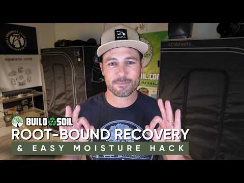 BuildASoil: 2x4 Series // Season 3 Episode 9 Week 9 Update, Root-Bound Recovery & Easy Moisture Hack
