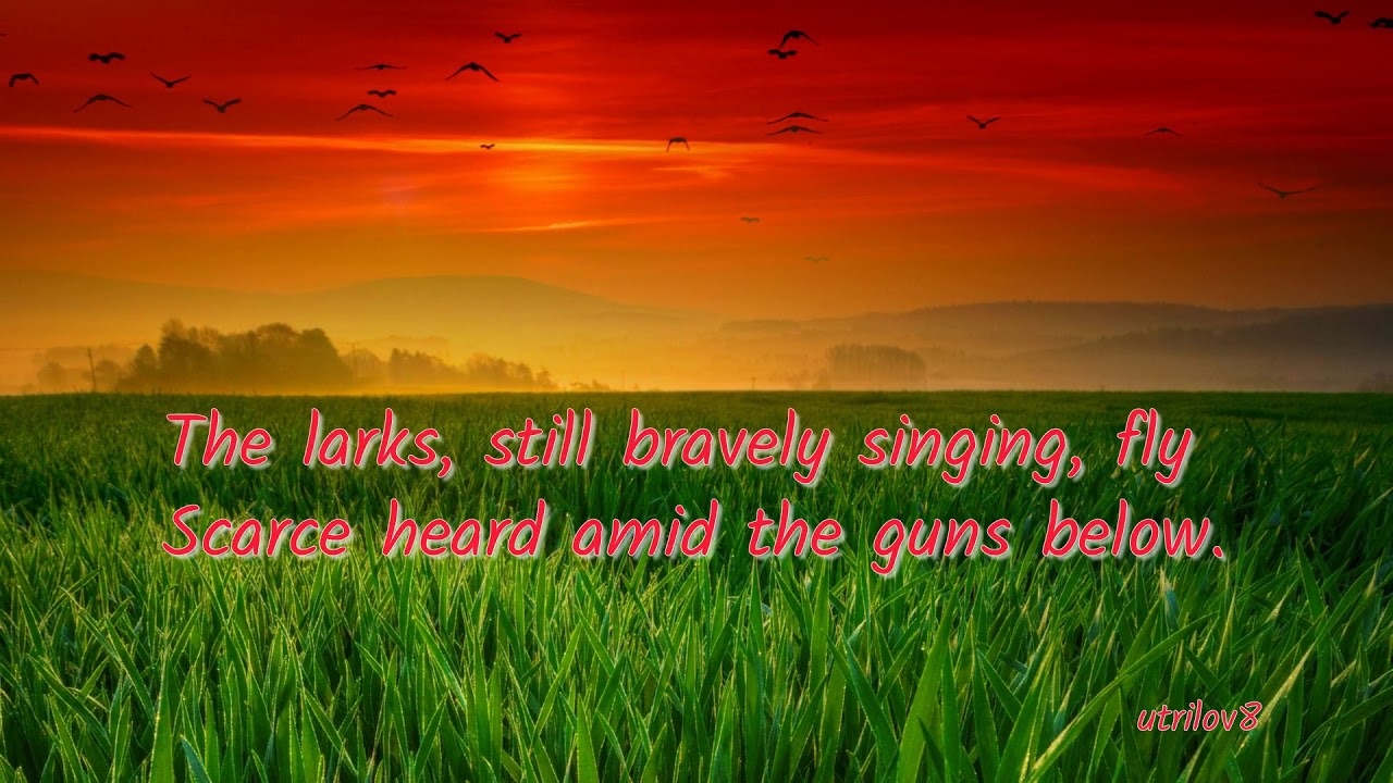 Remembrance Day, Last Post & Rouse - YouTube