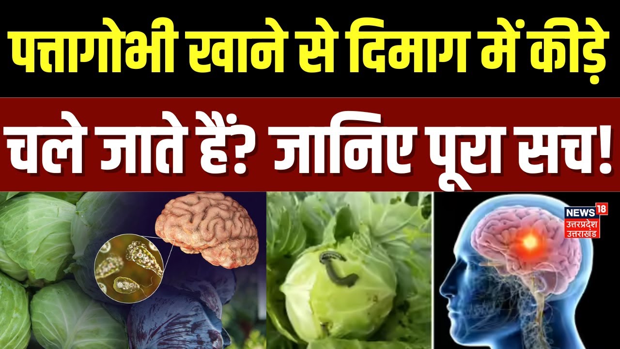 Cabbage Tapeworm: पत्तागोभी में क्या सच में कीड़ा होता है या ये है केवल ...