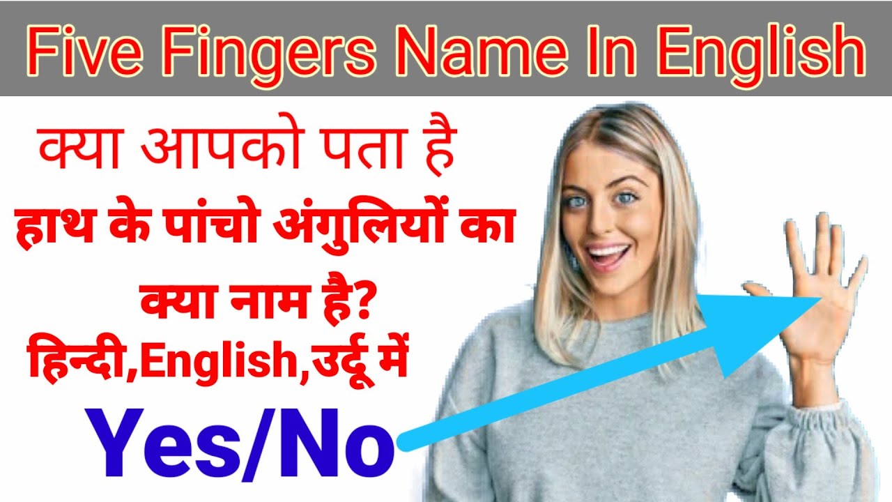 Gk Quiz||Five Finger Name In English,Hindi, Urdu||हाथ के पांचो ...