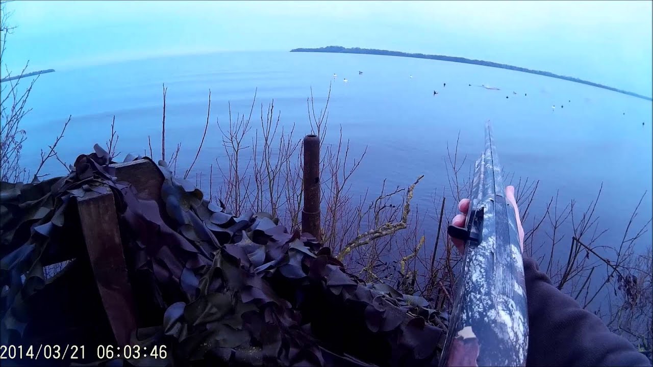 Lough Neagh Diver Duck Hunting Season Clips - YouTube