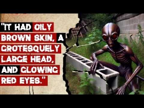 7 Witness Accounts from Brazil’s Roswell: The Varginha UFO Case - YouTube