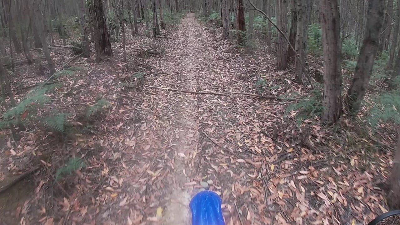 trying to find the track - YouTube