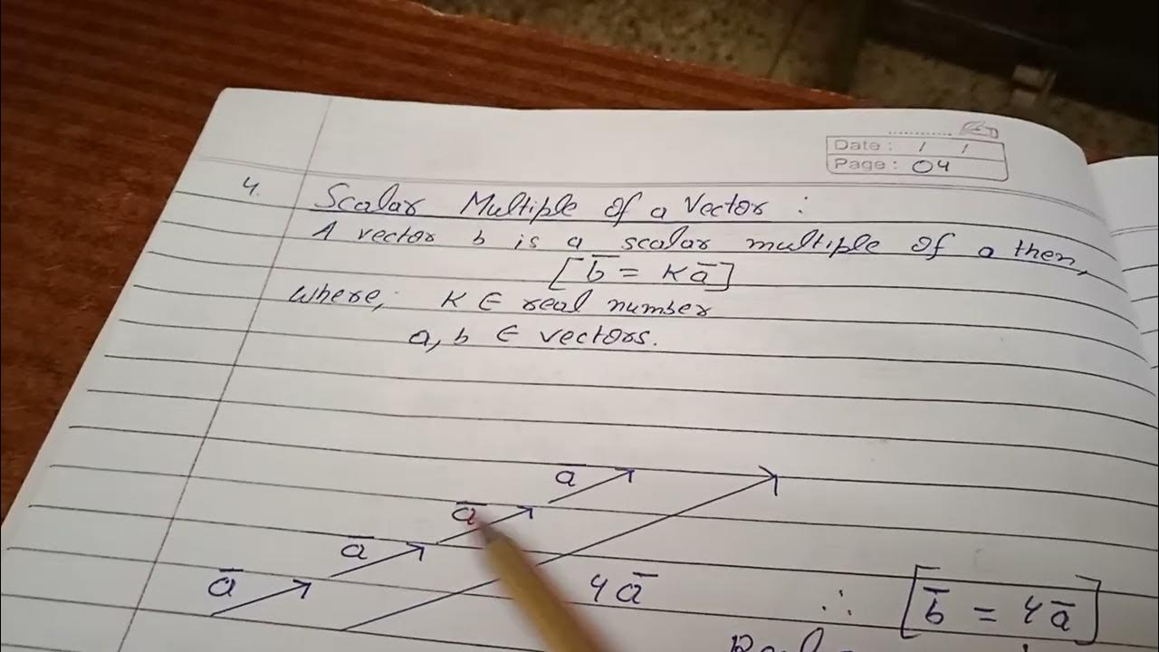 Types Of Vectors Physics class 11 - YouTube