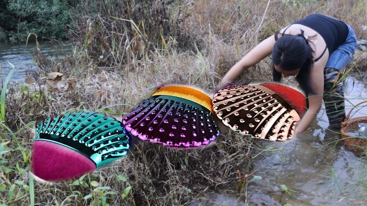 A sexy beauty catches a clam shell in the river and opens it with her ...