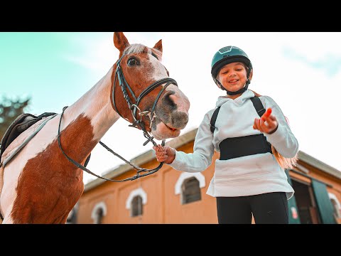 Ho Trovato un Cavallo Strano o Cosa Faccio in Nascosto?!
