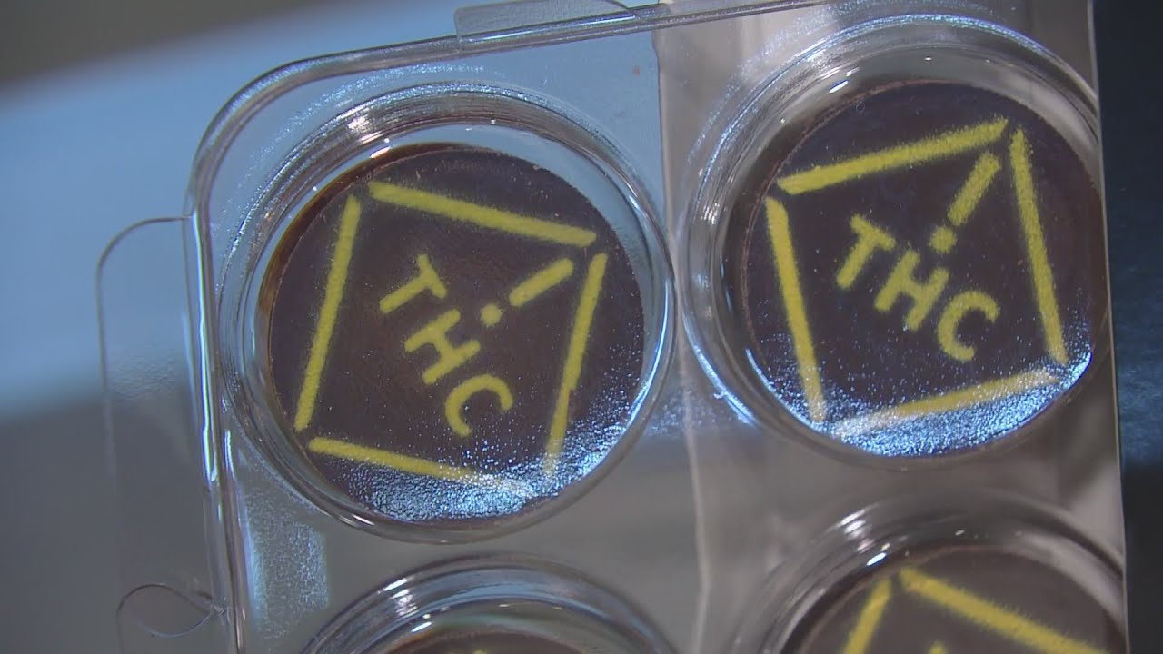 Push Underway To Regulate High Potency Marijuana In Colorado - YouTube