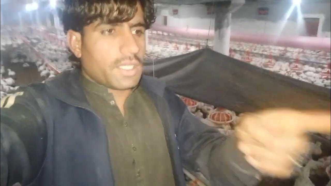 viral velog #foryou - YouTube