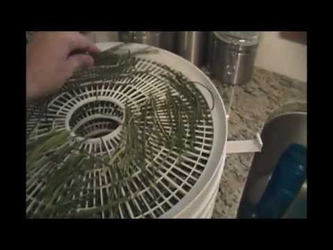DIY Herb Drying (Chives) Tutorial - YouTube