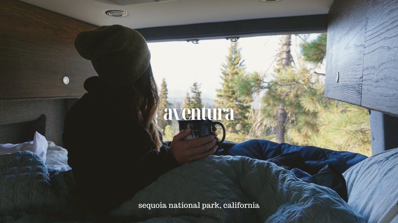 Sprinter Van Camping in Sequoia National Park || Barely Missing ...