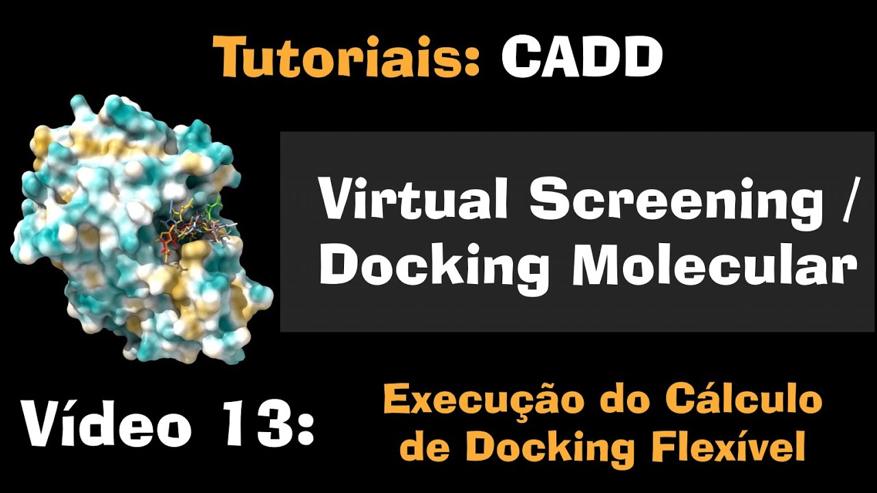 CADD Tutorial 13: Virtual Screening por Docking Molecular Flexível ...